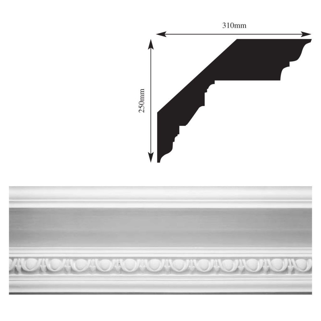 C20 Large Egg & Dart Plaster Cornice - Wm Boyle Interior Finishes